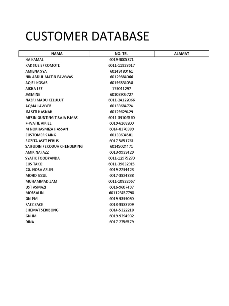 Customer Database | PDF