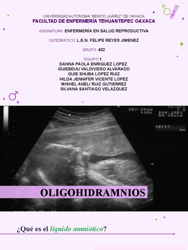 Equipo 1 Segundo Tema Nuevo | PDF | El embarazo | Feto