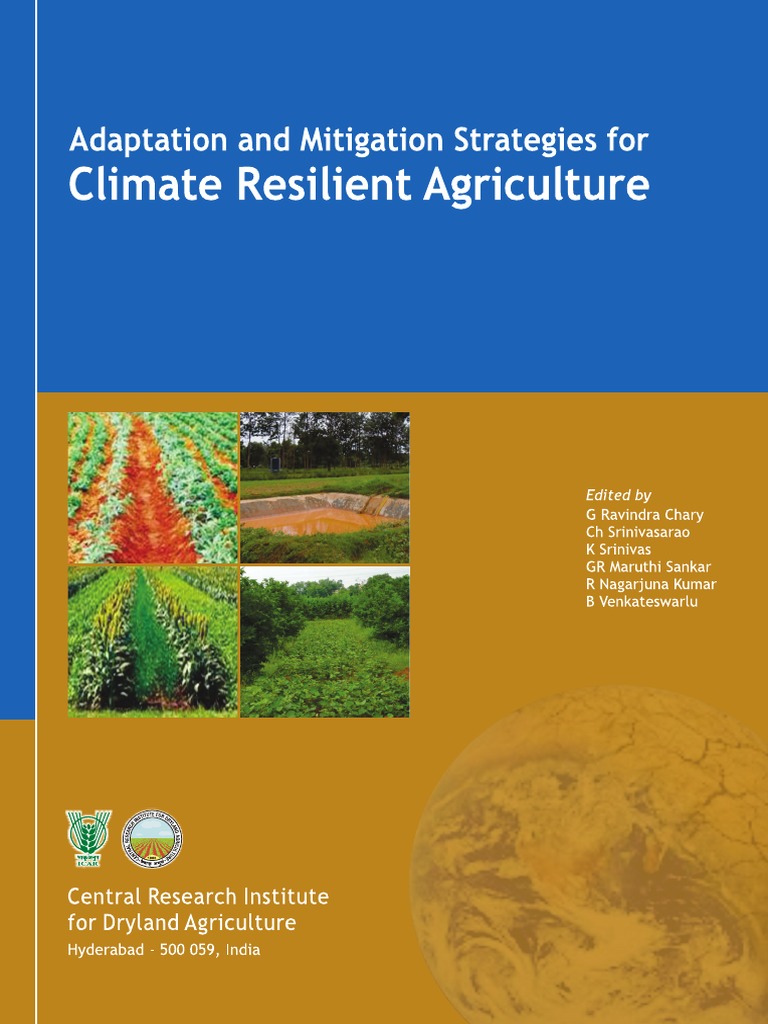 Adaptation and Mitigation Strategies For CRA | PDF