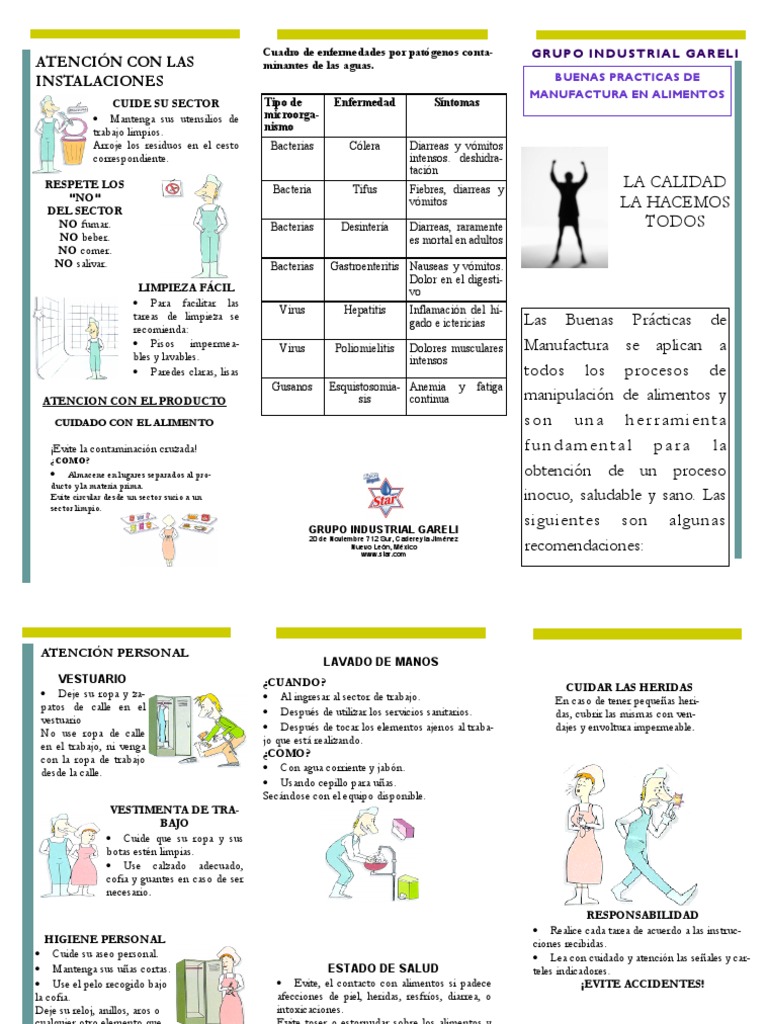 Triptico BPM | PDF | Diarrea | Higiene