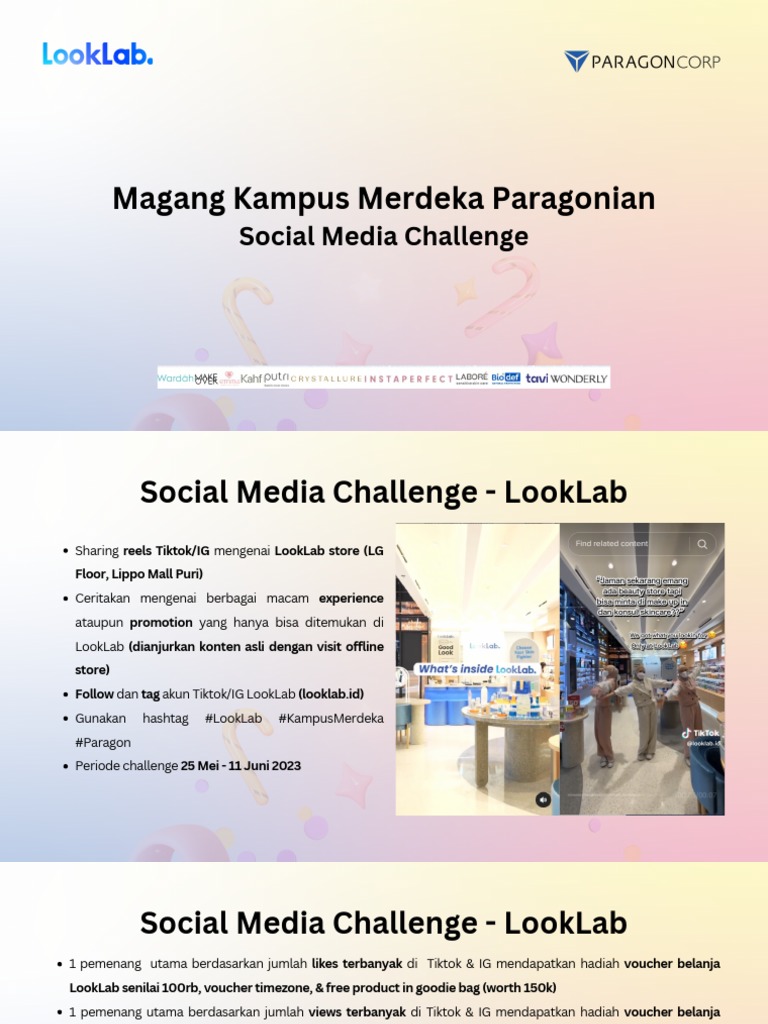 Social Media Challenge - LookLab | PDF