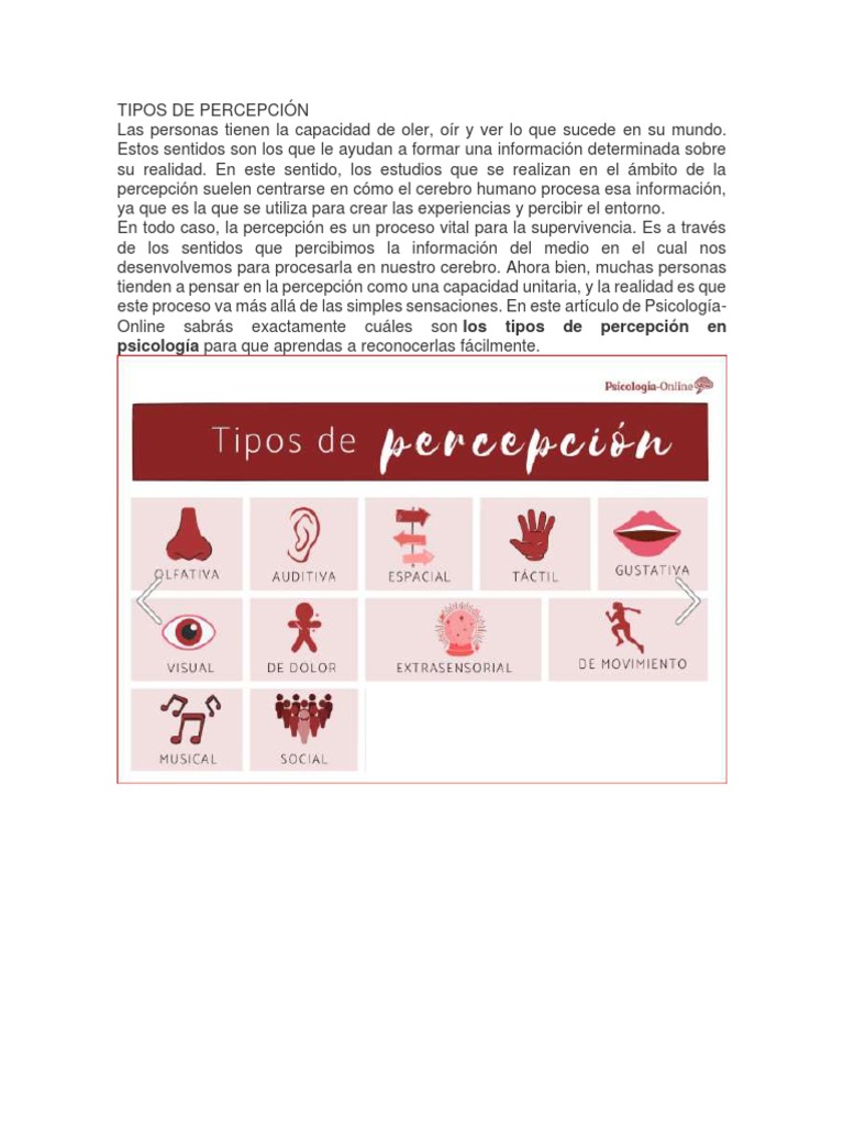Tipos de Percepción | PDF | Percepción | Psicología cognitiva