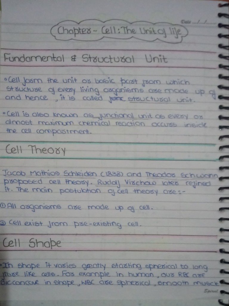 Cell Handwritten Notes | PDF | Cell Biology | Anatomy