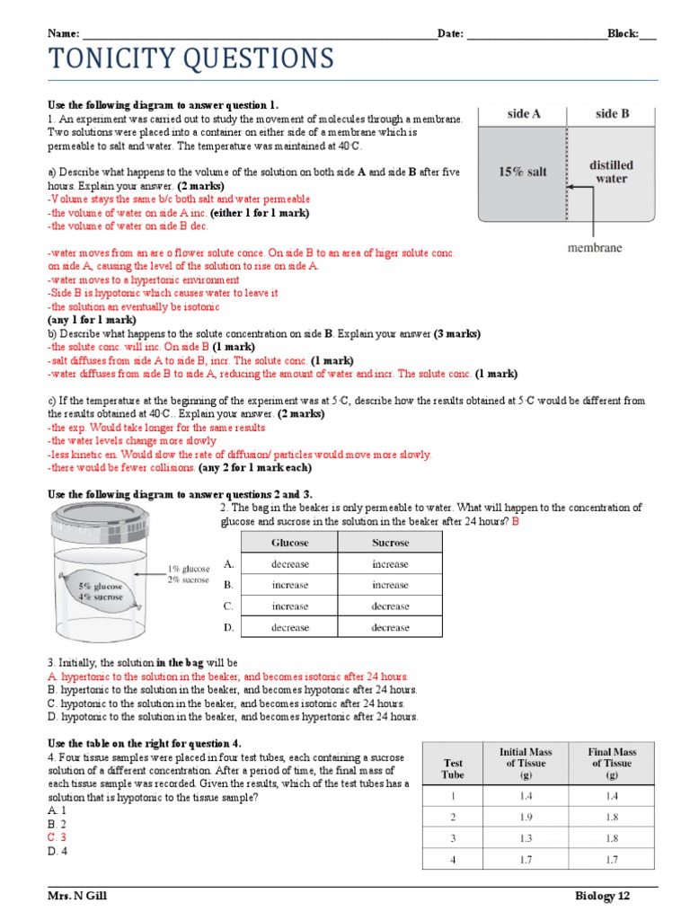 Questions-Tonicity - Answer Key | PDF | Osmosis | Physical Sciences