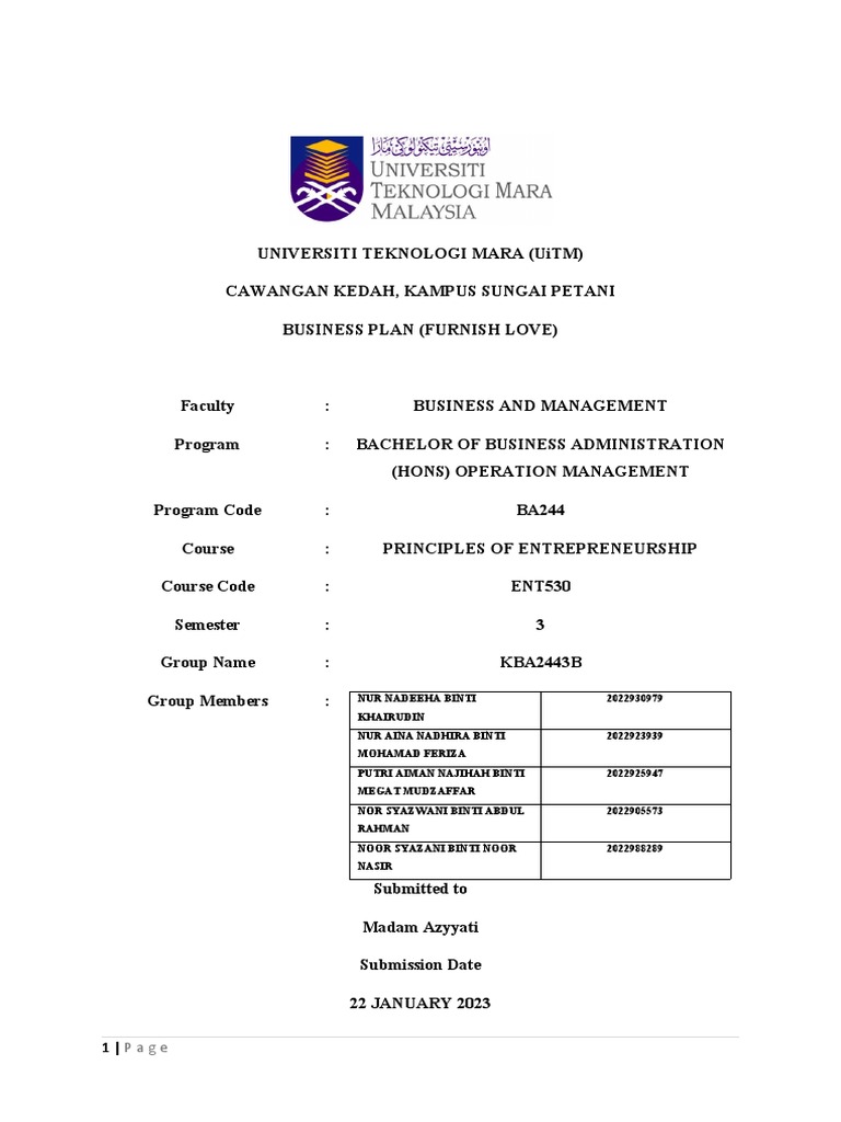 Ent Business Plan | PDF | Market Segmentation | Outsourcing