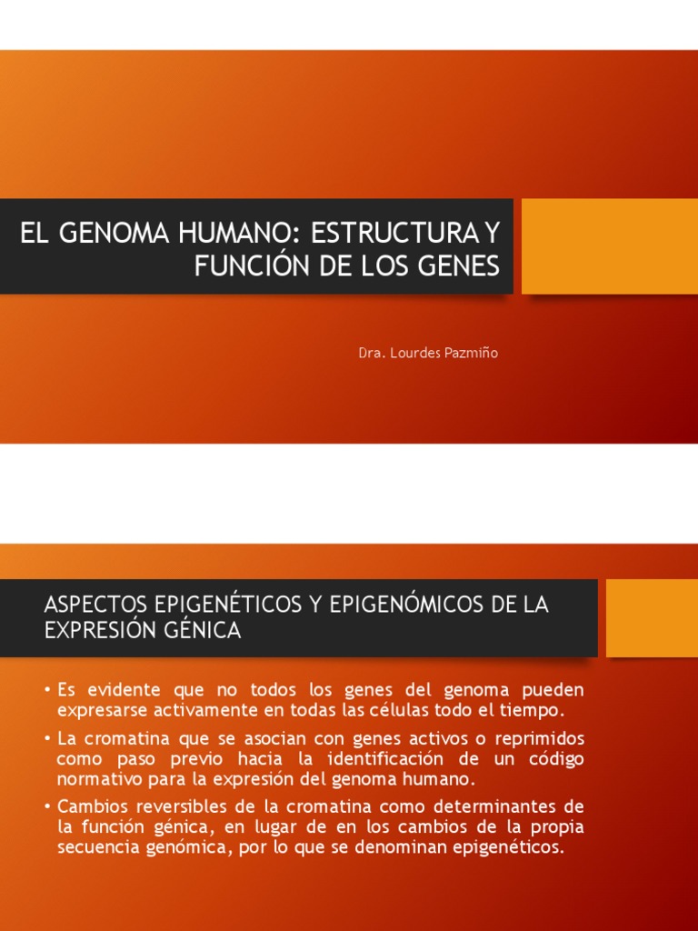 Estructura y Funcion de Los Genes | Descargar gratis PDF | Epigenética ... Estructura y Funcion de Los Genes | Descargar gratis PDF | Epigenética ...
