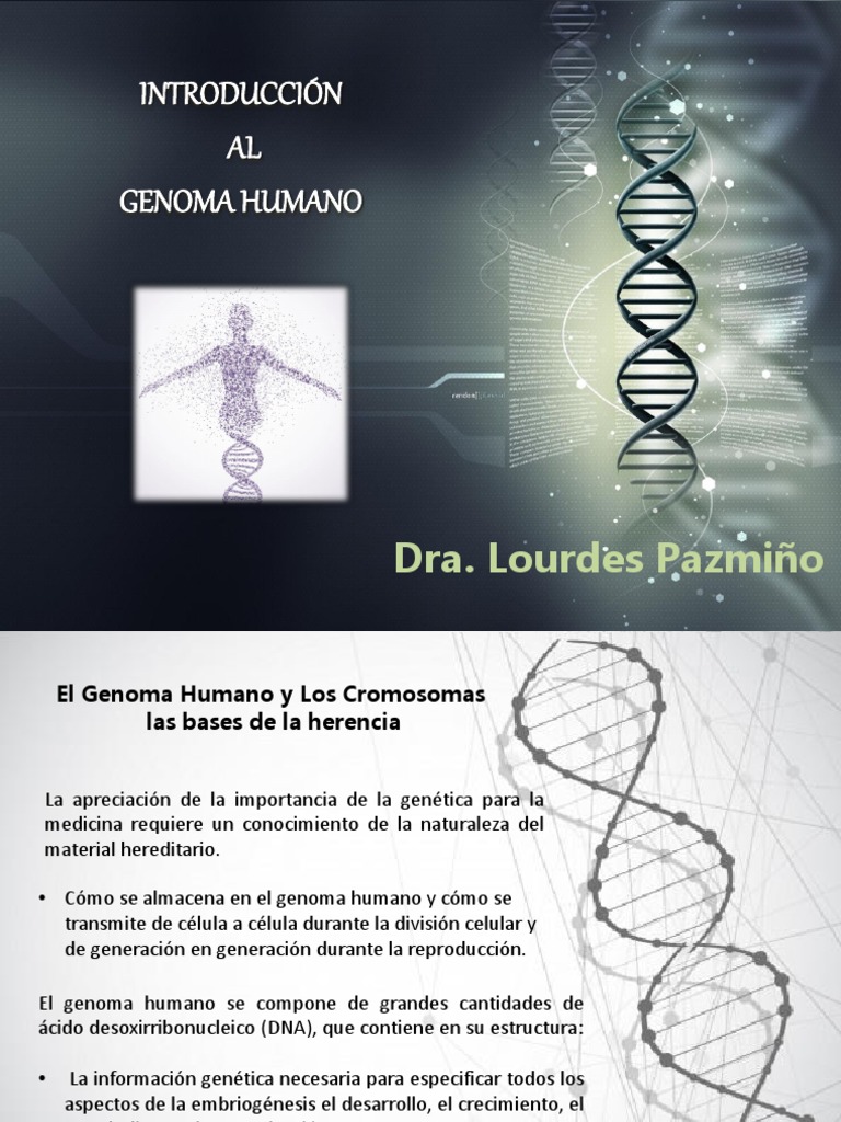 1 El Genoma Humano | PDF | Adn | Cromosoma