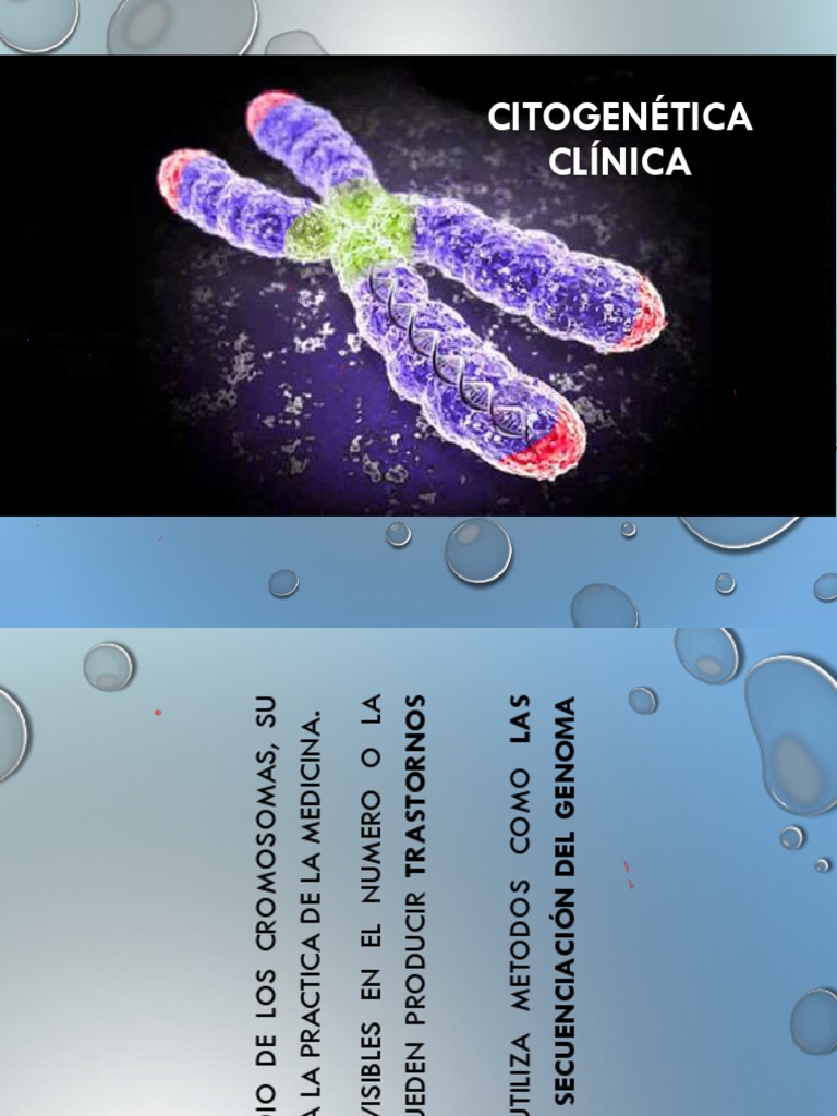 Citogenetica | PDF | Citogenética | Trastorno genético