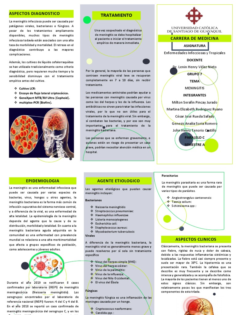 Triptico de Mendigitis. | PDF | Meningitis | Medicina