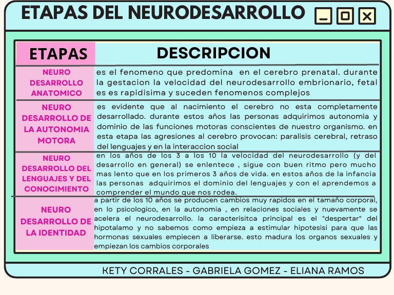 Etapas del Neurodesarrollo Infantil | PDF