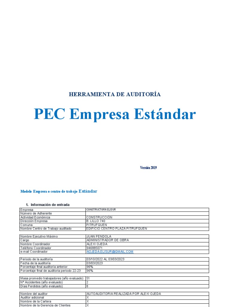 Auto Auditoria PEC ESTÁNDAR - v5 | PDF | Auditoría | Simulación