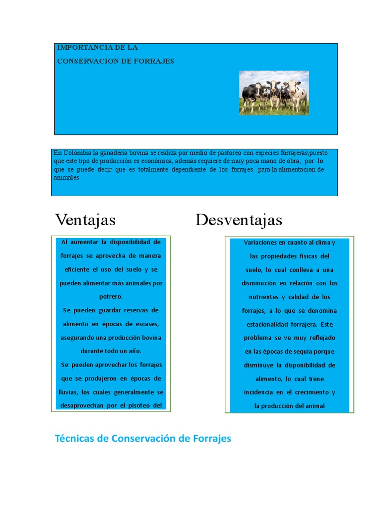 Infografia Sobre LA Importancia DE LA Conservacion DE Forrajes | PDF | Heno | Agricultura