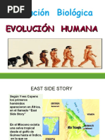 Dryopithecus | PDF | Hominidae | Homo Sapiens