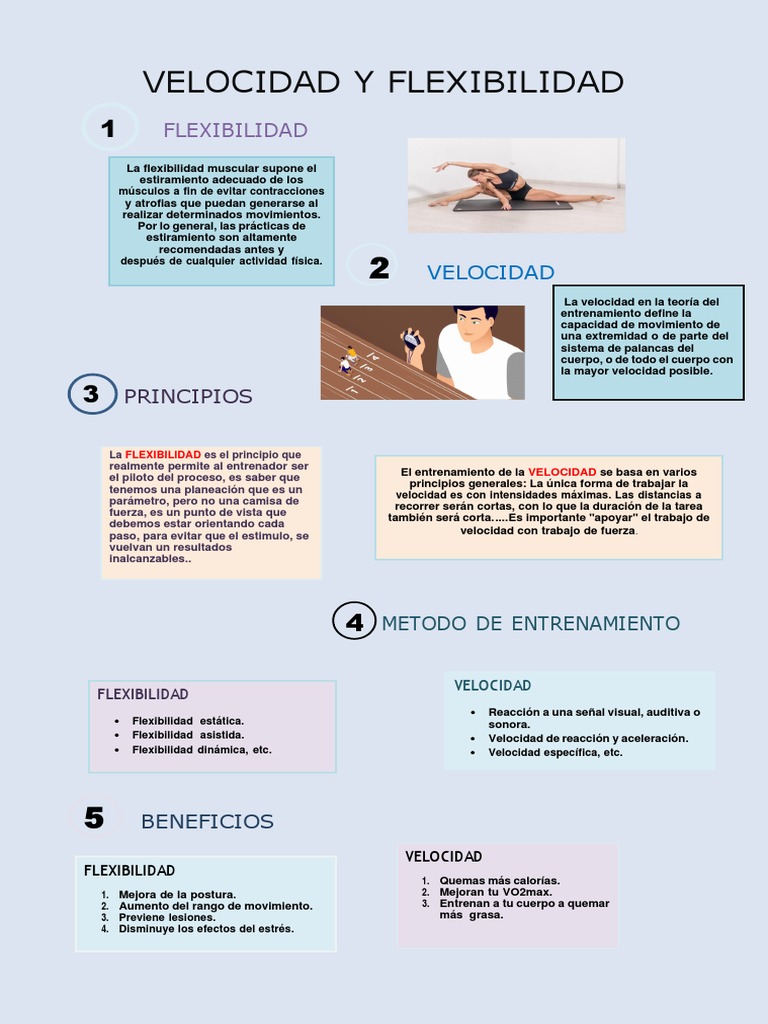 Mapas Conceptuales e Infografia | PDF | Flexibilidad (anatomía) | Fuerza