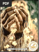 16 Signos Diloggun | PDF