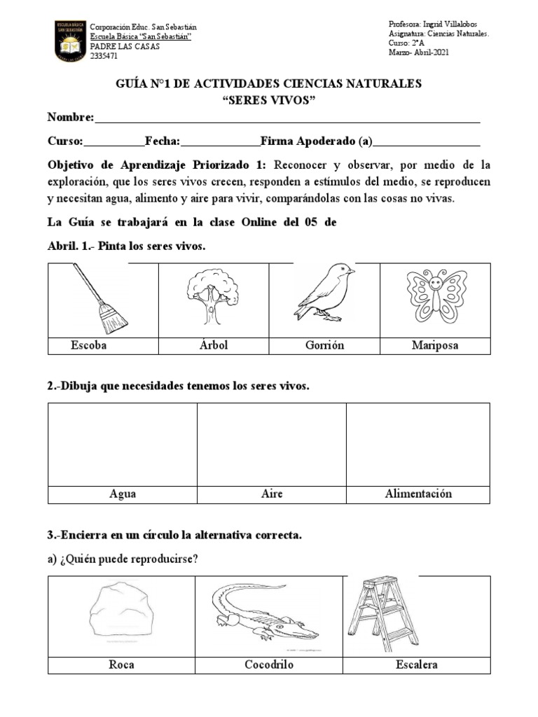 2A Cs Naturales Guia Seres Vivos 29 Al 9 Abril 2021 | PDF