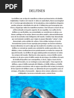 Texto Informativo Los Delfines | PDF
