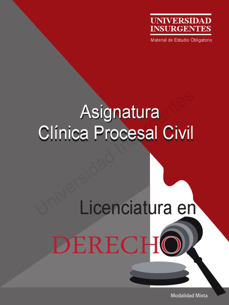 Manual de Clinica Procesal Civil | PDF | Demanda judicial | Ley procesal