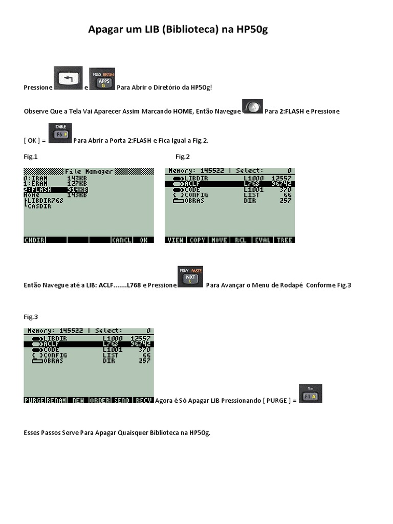 Apagar Um LIB Na HP50g | PDF