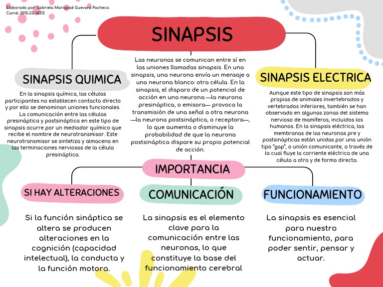 Mapa Conceptual Sinapsis | PDF | Sinapsis | Neurona