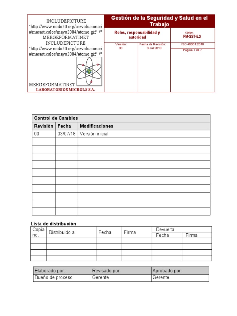PM-SST-5.3 Roles, Responsabilidad y Autoridad | PDF