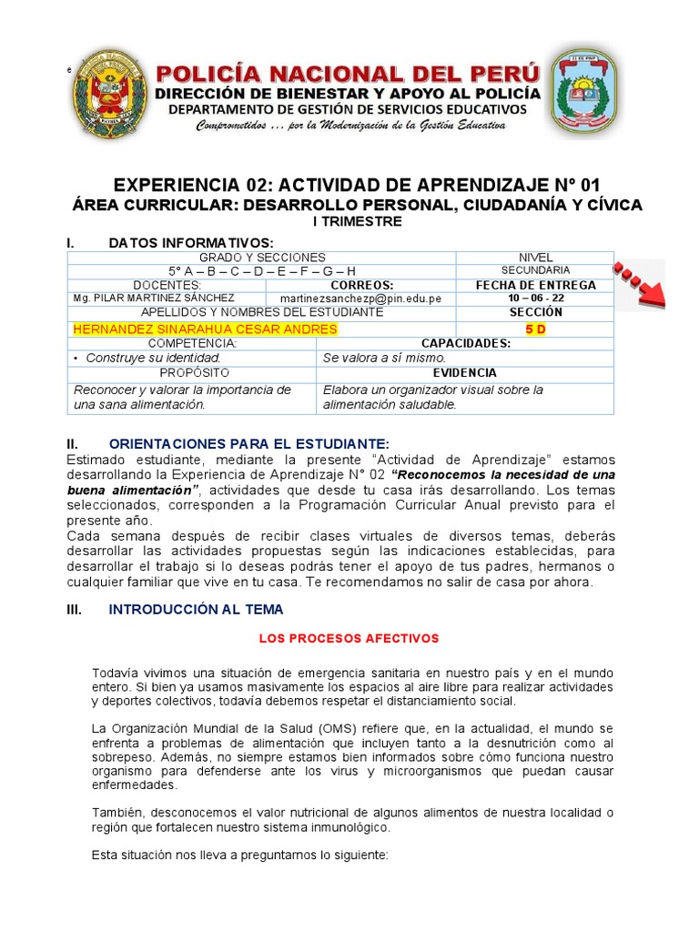 1 DPCC 2do Bim. | PDF | Alimentos | Dieta