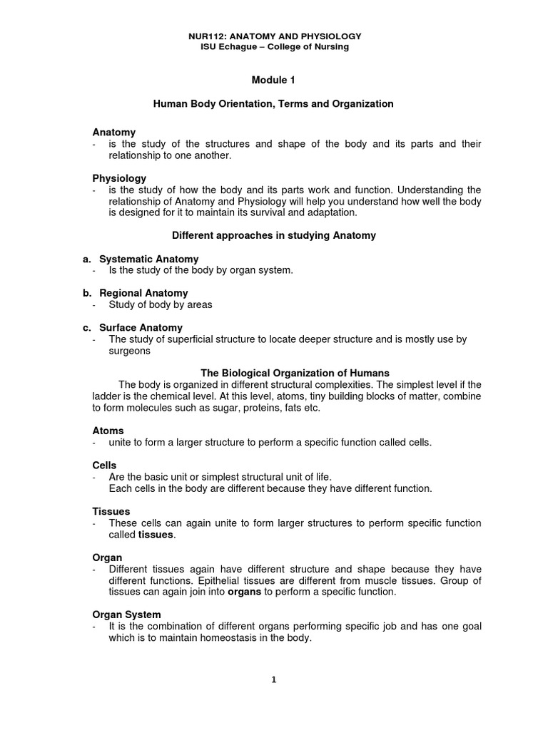 Anaphy Lec Final Reviewer | PDF | Connective Tissue | Epithelium