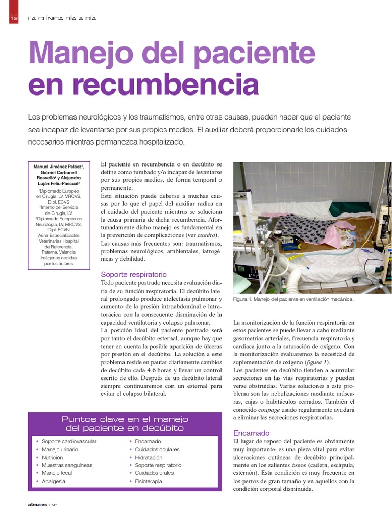 Manejo Del Paciente en Recumbencia ATVs | PDF | Vejiga urinaria ...