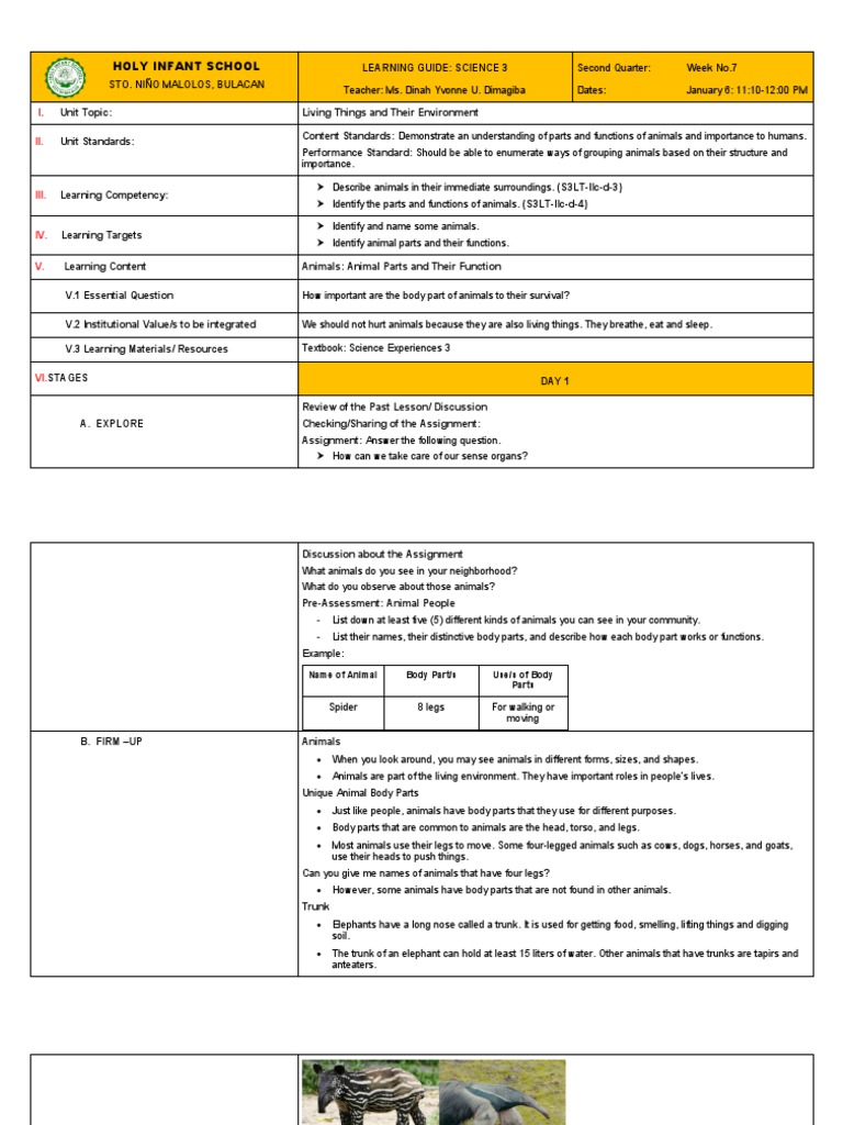 Lesson Plan For Science 3 (Second Quarter) | PDF | Elephant | Learning