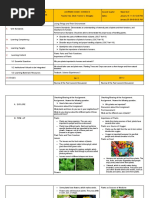Multi Grade Semi-Detailed Lesson Plan | PDF | Plants | Leaf
