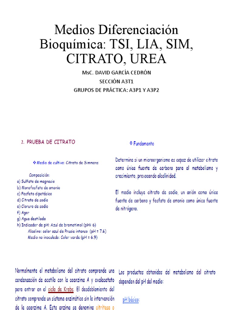 Composición y Fundamentos TSI LIA SIM CItrato Urea | PDF
