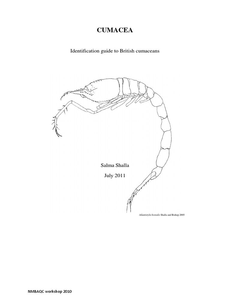 Shalla2011 Nmbaqc Cumaceans TP | PDF | Arthropods