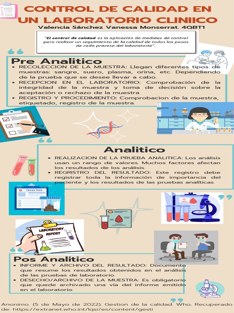 Infografia Control de Calidad | PDF
