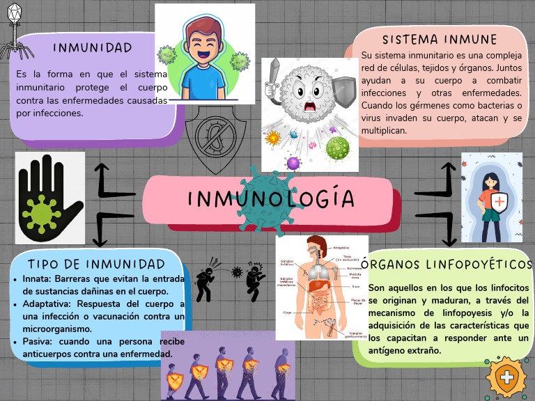 Mapa Conceptual Inmunologia Pdf