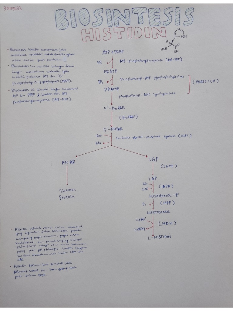 133 Muhammad Fatin Fariszulhaq | PDF