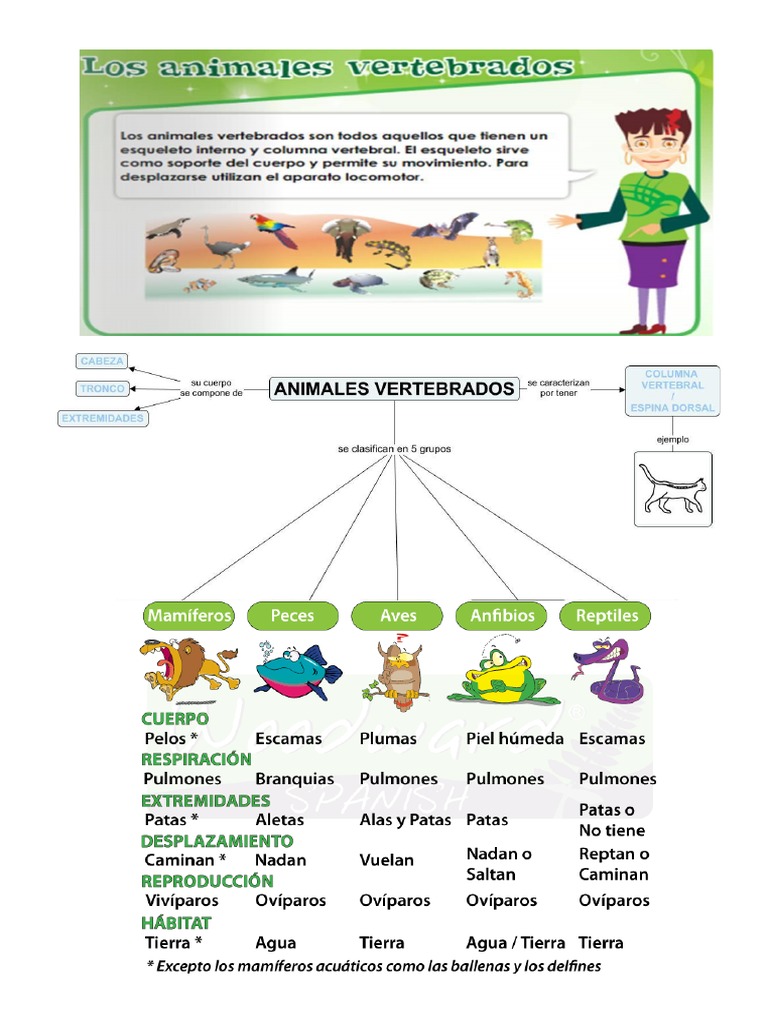 Animales Vertebrados | PDF | Pescado | Respiración