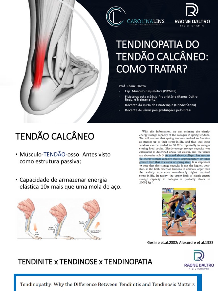 Tendinopatia Do Tendão Calcâneo PDF | PDF | Fisioterapia | Medicina Clínica