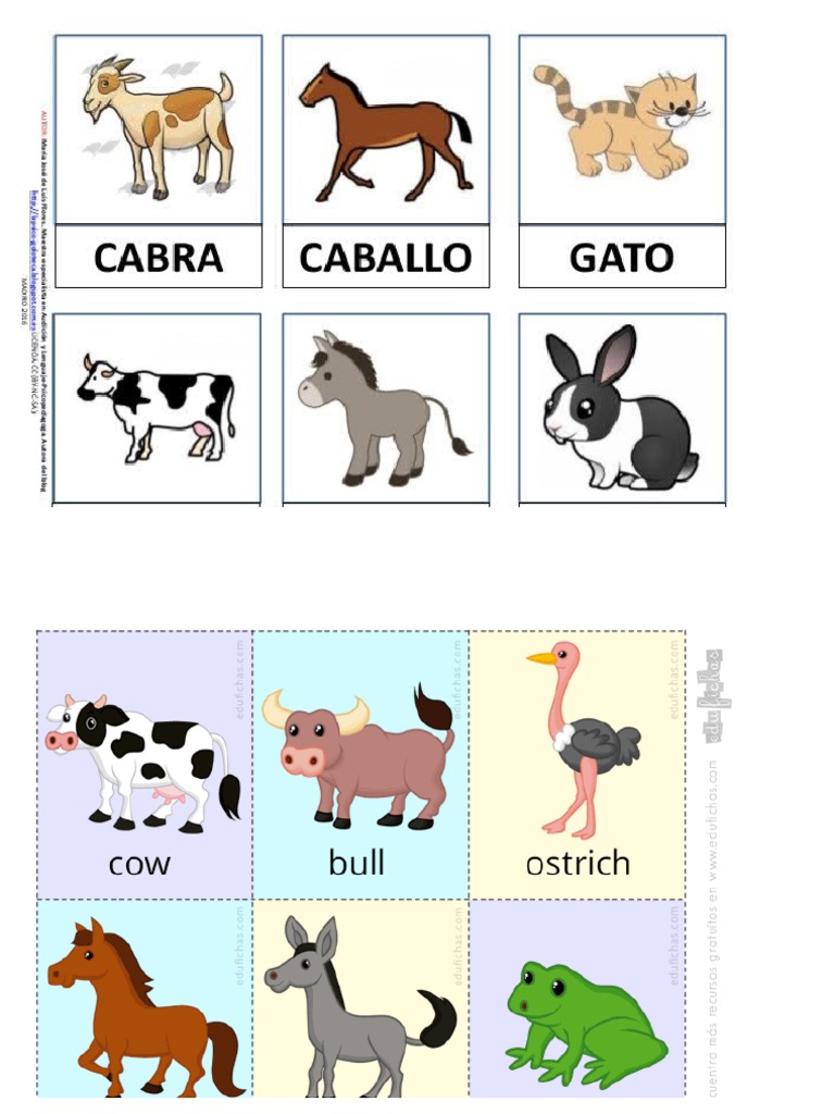 Animales Fichas | PDF