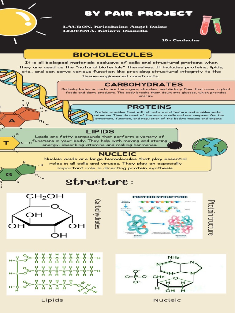 Infographic on Biomolecules Overview | PDF