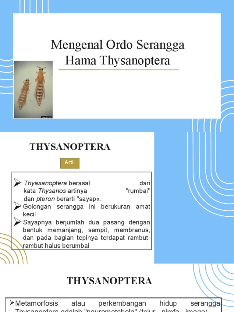 Ordo Thysanoptera | PDF