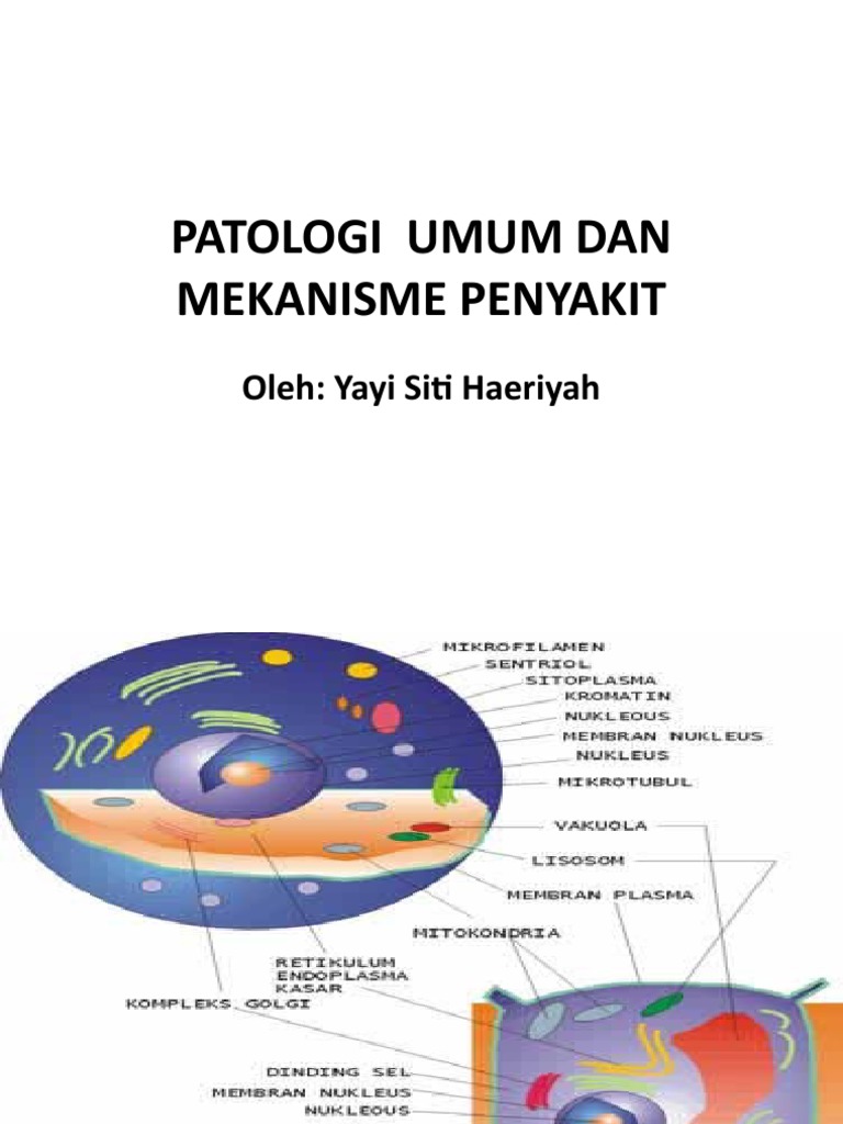 Patologi Umum Dan Mekanisme Penyakit-1 | PDF