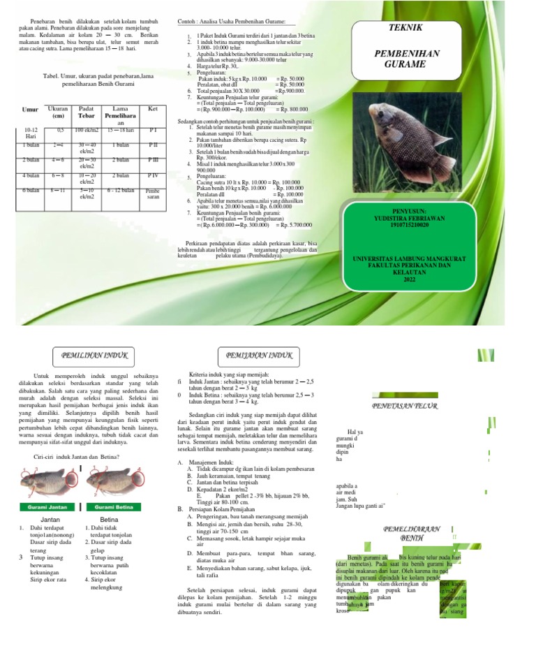 Folder - Yudistira Febriawan - 4 | PDF