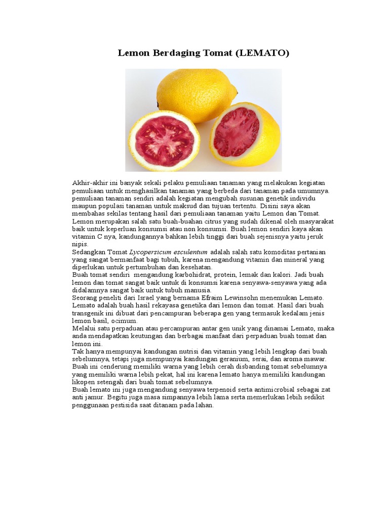Buah Lemato: Inovasi Genetik Tomat-Lemon | PDF