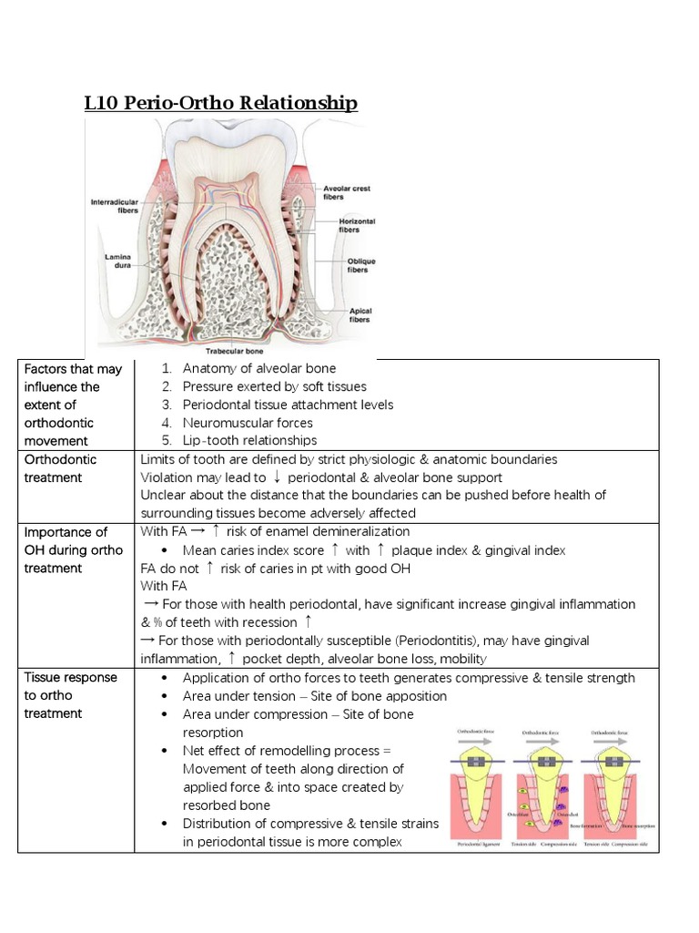 Perio-Ortho Dynamics and Treatment Effects | PDF | Periodontology | Bone