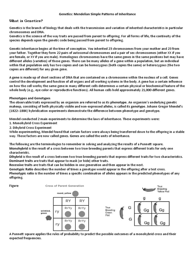 Q4 W4 Science 8 Las | PDF | Genotype | Genetics