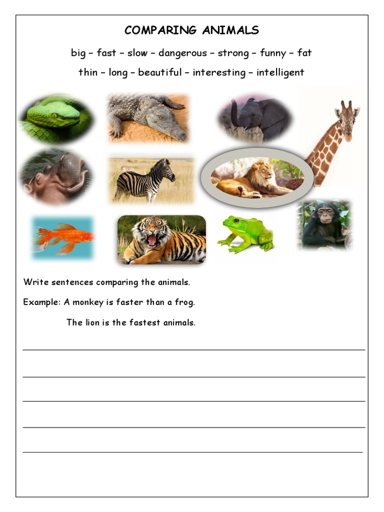 COMPARING ANIMALS - Worksheet | PDF