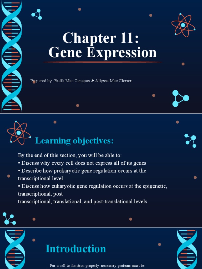 Chapter 11 Gene Expression | PDF | Gene Expression | Gene Chapter 11 Gene Expression | PDF | Gene Expression | Gene