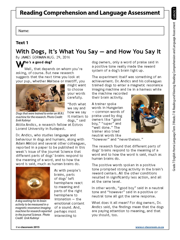 English Grade 7 Comprehension, Language Punctuation Exercise | PDF | Reading Comprehension ...