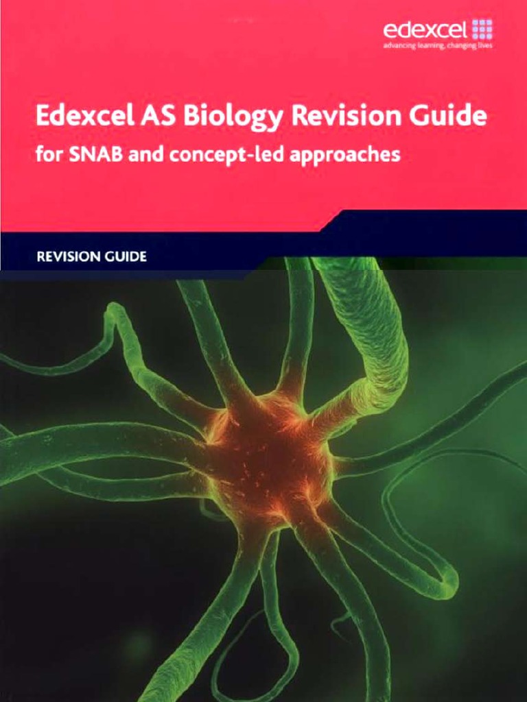 Edexcel As Biology Revision Guide by Edexcel PDF | PDF | Atrium (Heart ...