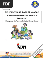 Numeracy Worksheets TAGALOG 1 | PDF